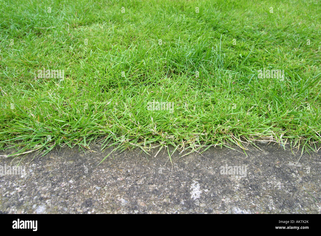 Edging lawn hi-res stock photography and images - Alamy