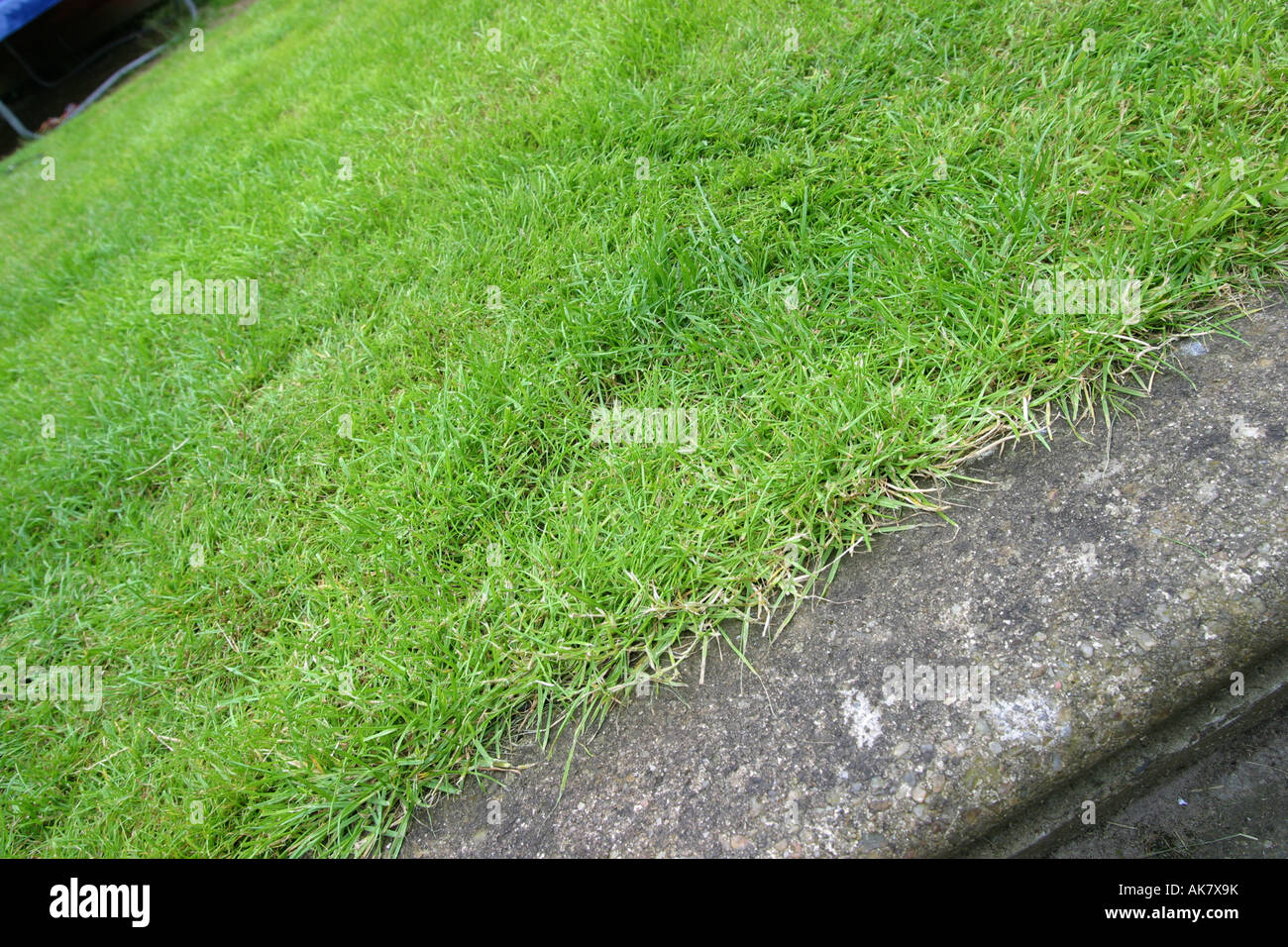 Lawn edge hi-res stock photography and images - Alamy