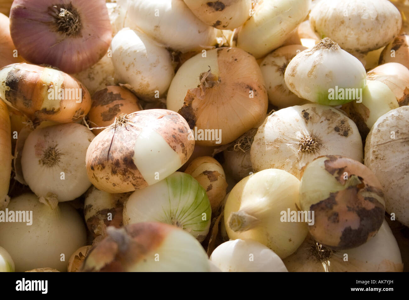 Farmers produce trade hi-res stock photography and images - Alamy