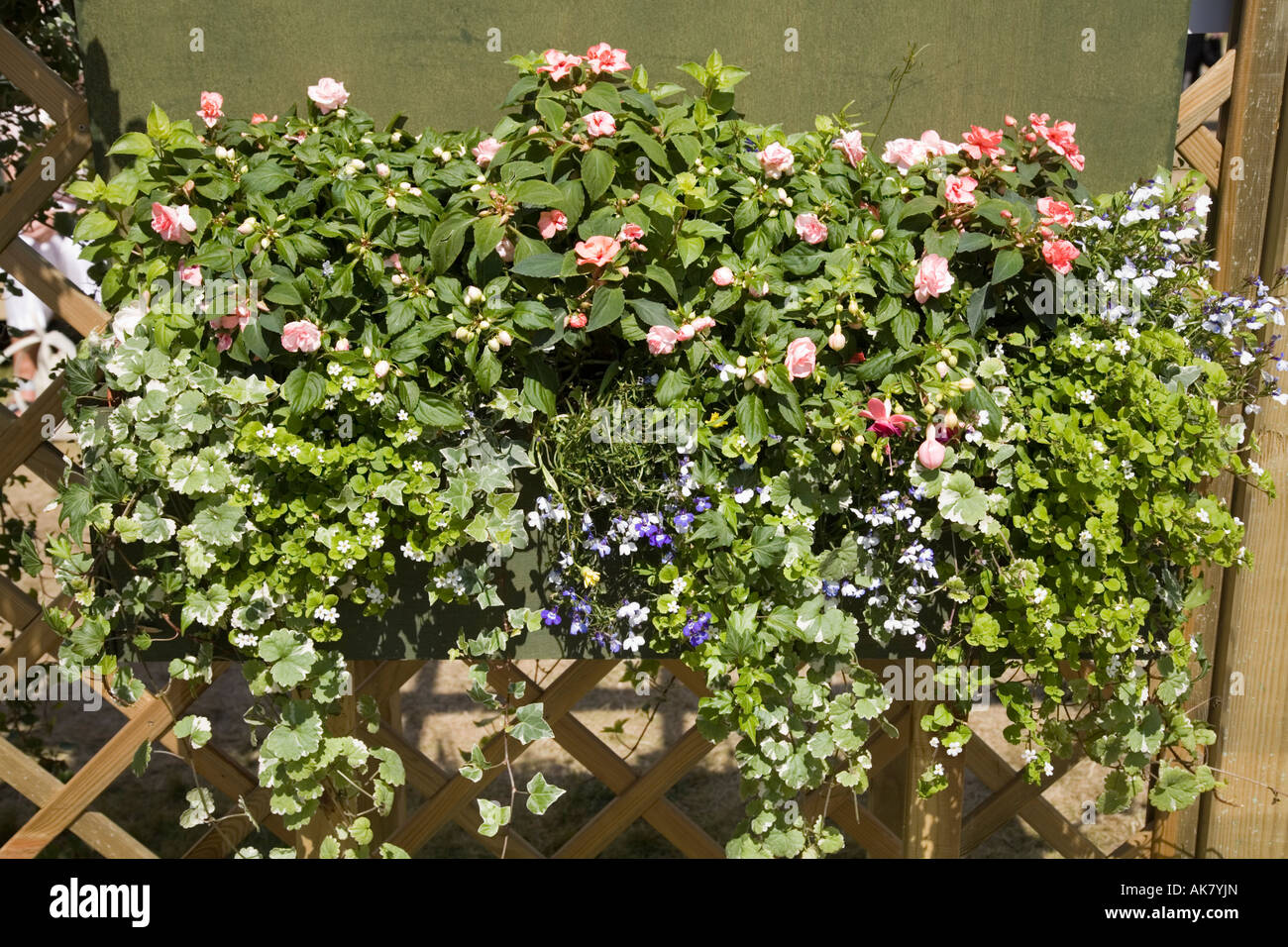 Tub trough container planter perennial hi-res stock photography and ...
