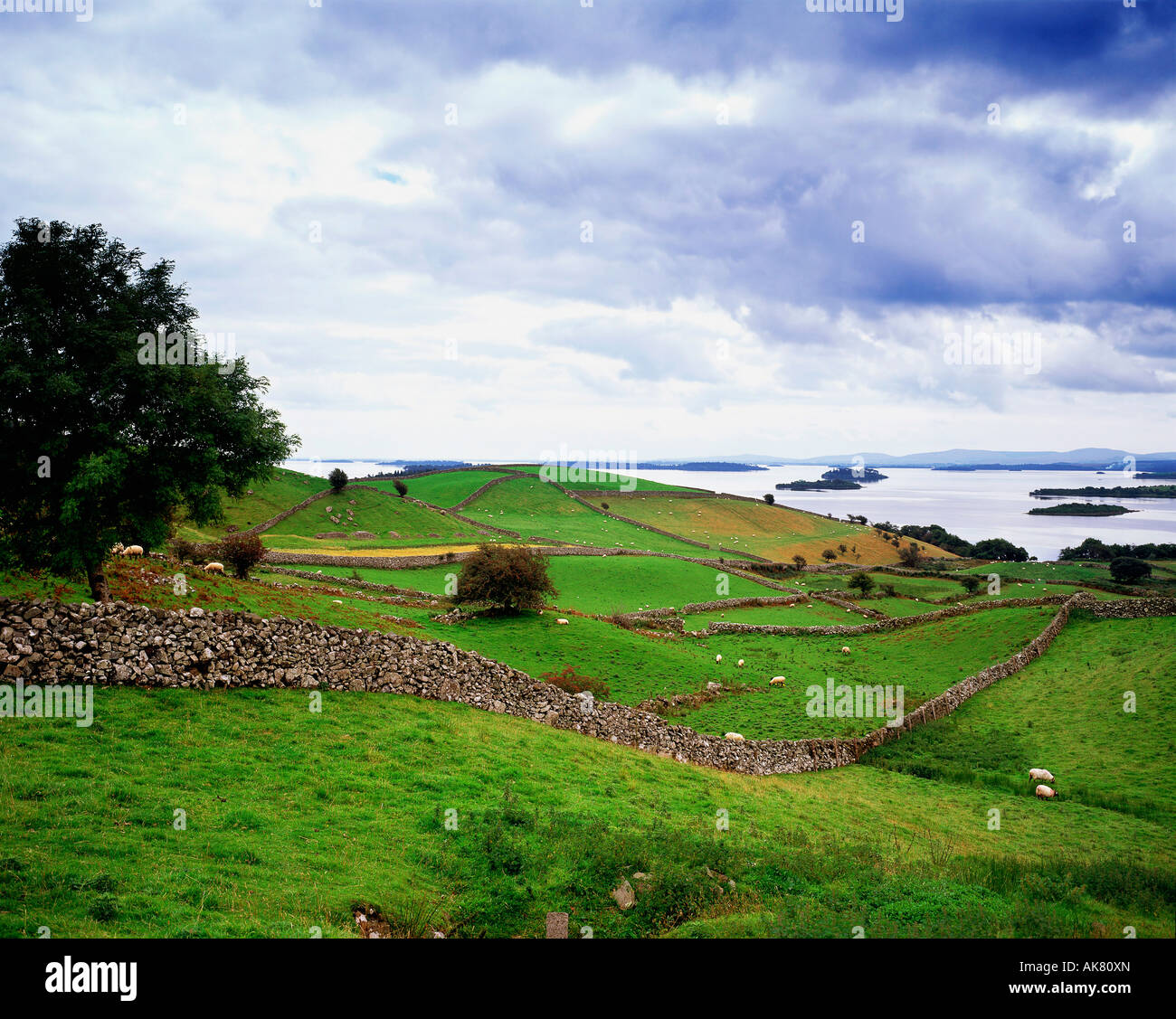 Landscape with Lough Corrib in the distance, County Galway, Ireland ...