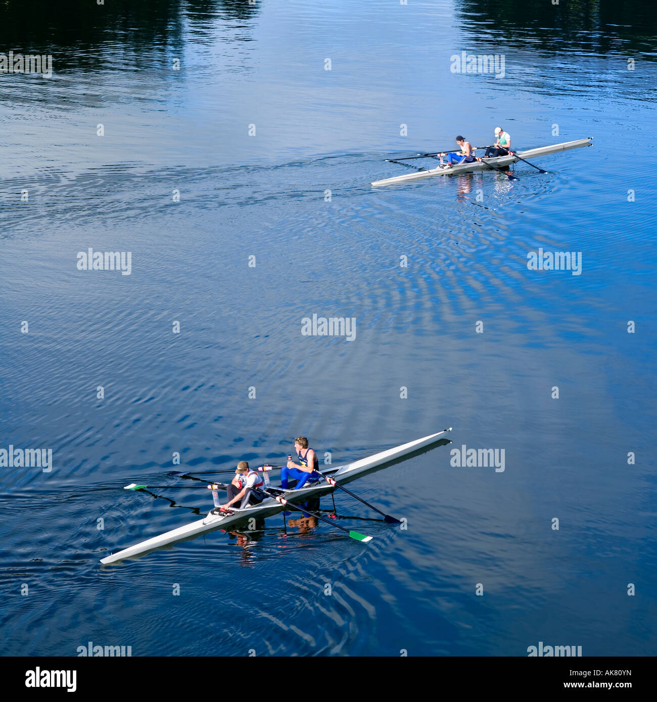 Rowing training on the Waikato River Stock Photo - Alamy