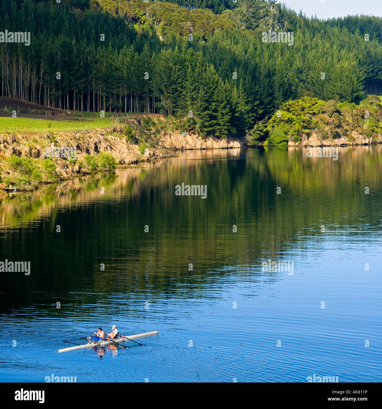 Rowing training on the Waikato River New Zealand Stock Photo - Alamy