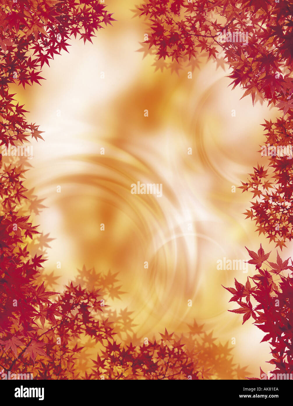 Japanese maple leaves water ripple Stock Photo - Alamy