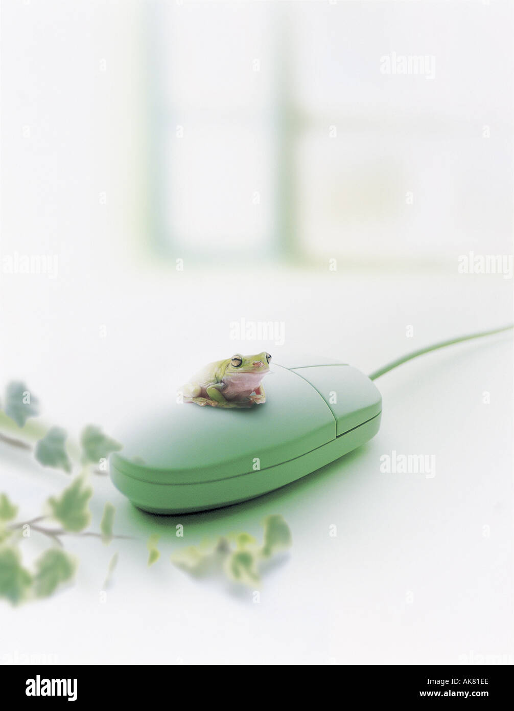 The frog and mouse hi-res stock photography and images - Alamy