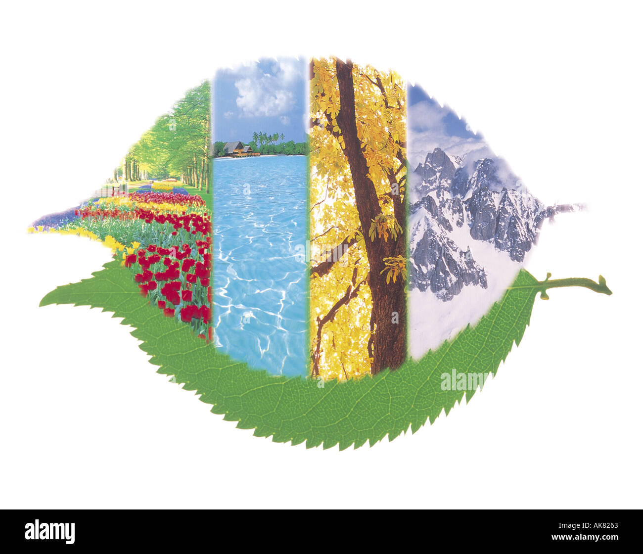 Beaches and mountains Cut Out Stock Images & Pictures - Alamy