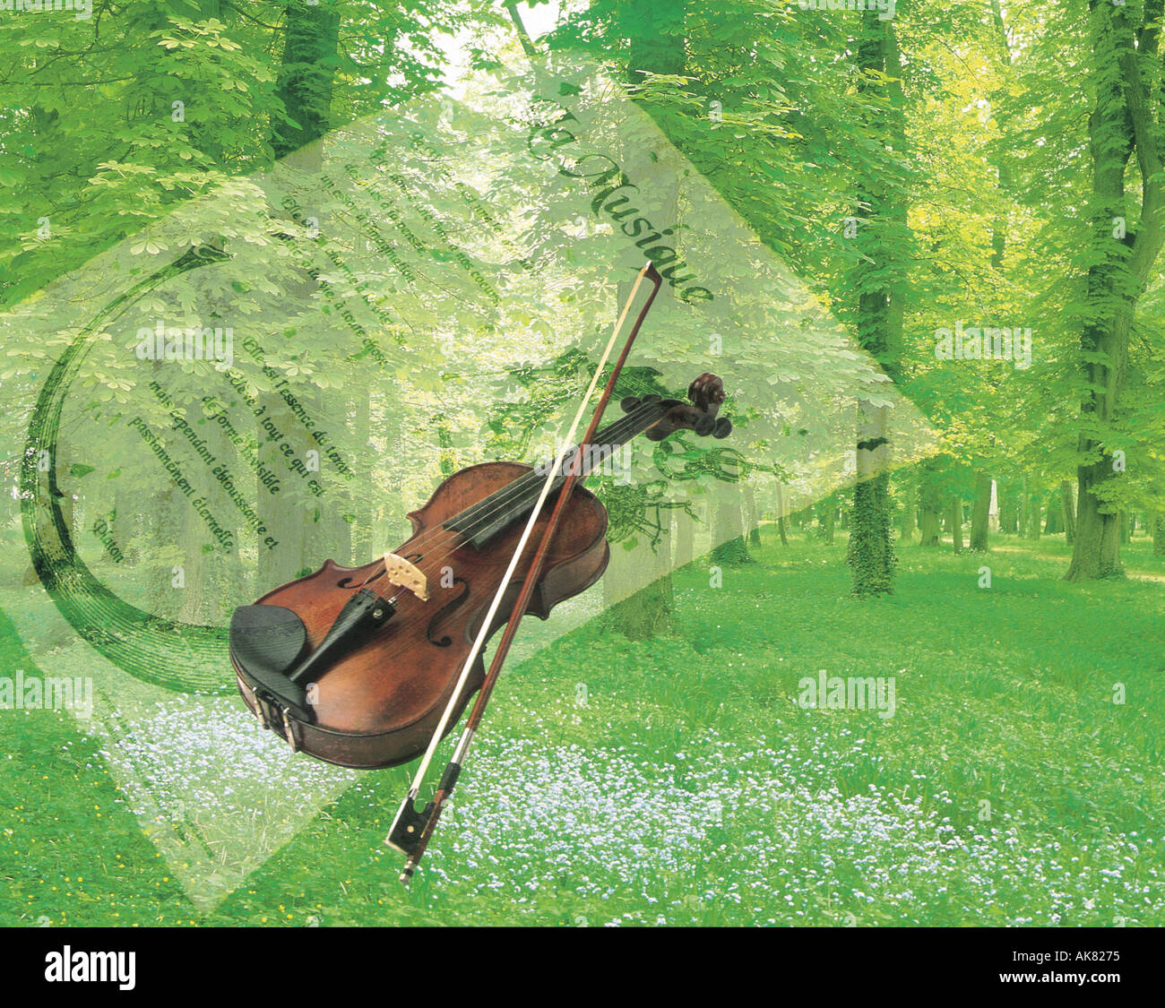 Violins forest hi-res stock photography and images - Alamy
