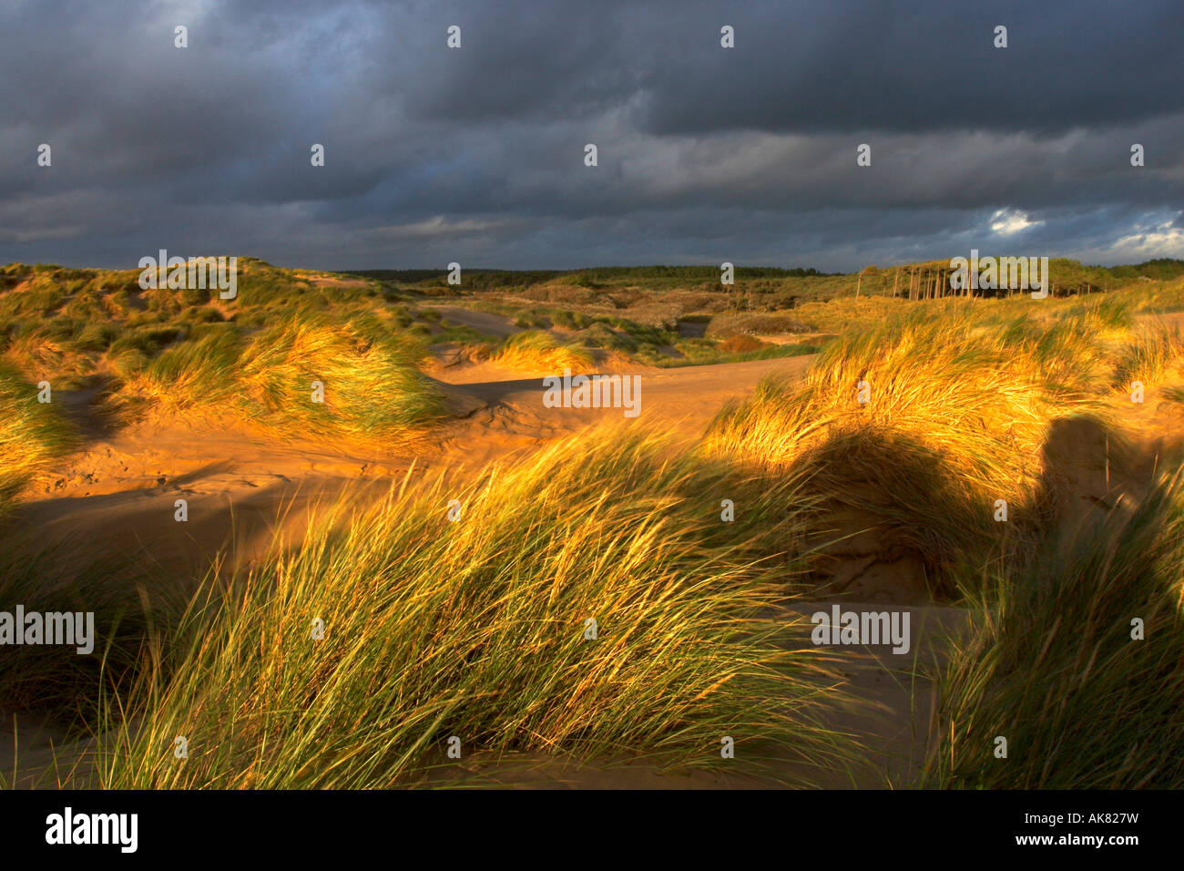 Formby national trust hi-res stock photography and images - Alamy