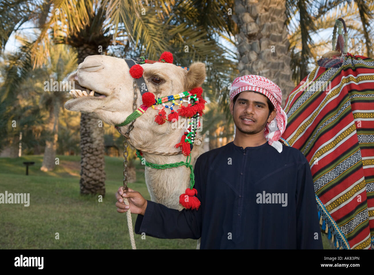 Arab culture, Smiling Young Arabian Camel driver with Decorated Arabian ...