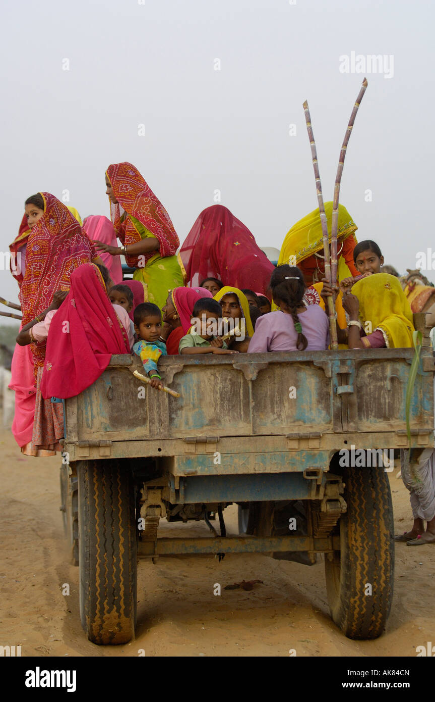 Pushkar camel and livestock fair which takes place in the Hindu month ...
