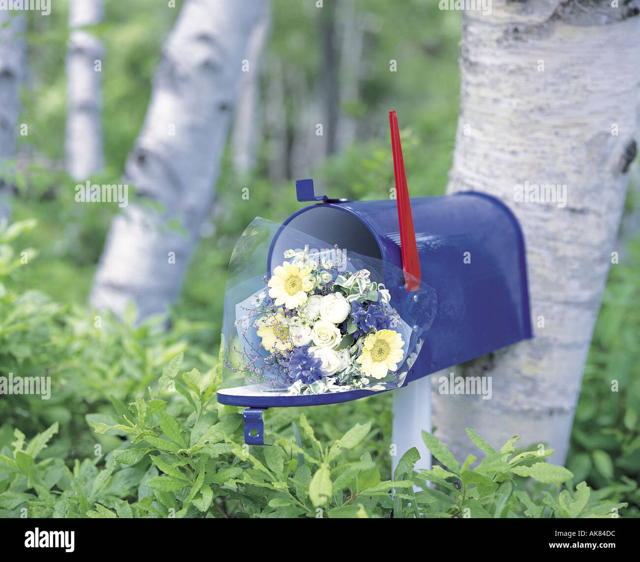 Flower bouquet in postbox Stock Photo - Alamy