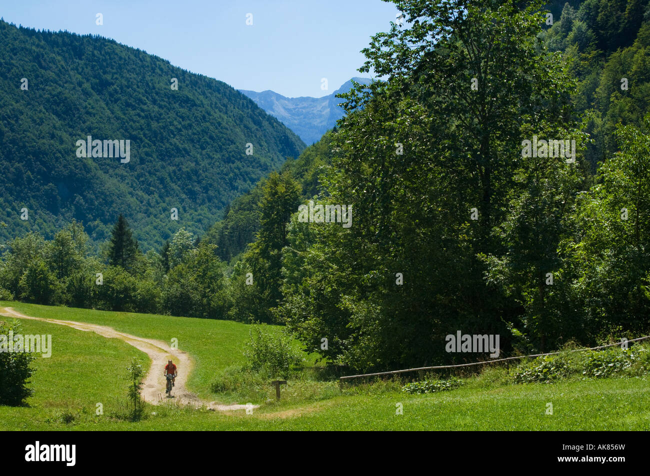 Fertile valley in triglav national hi-res stock photography and images ...