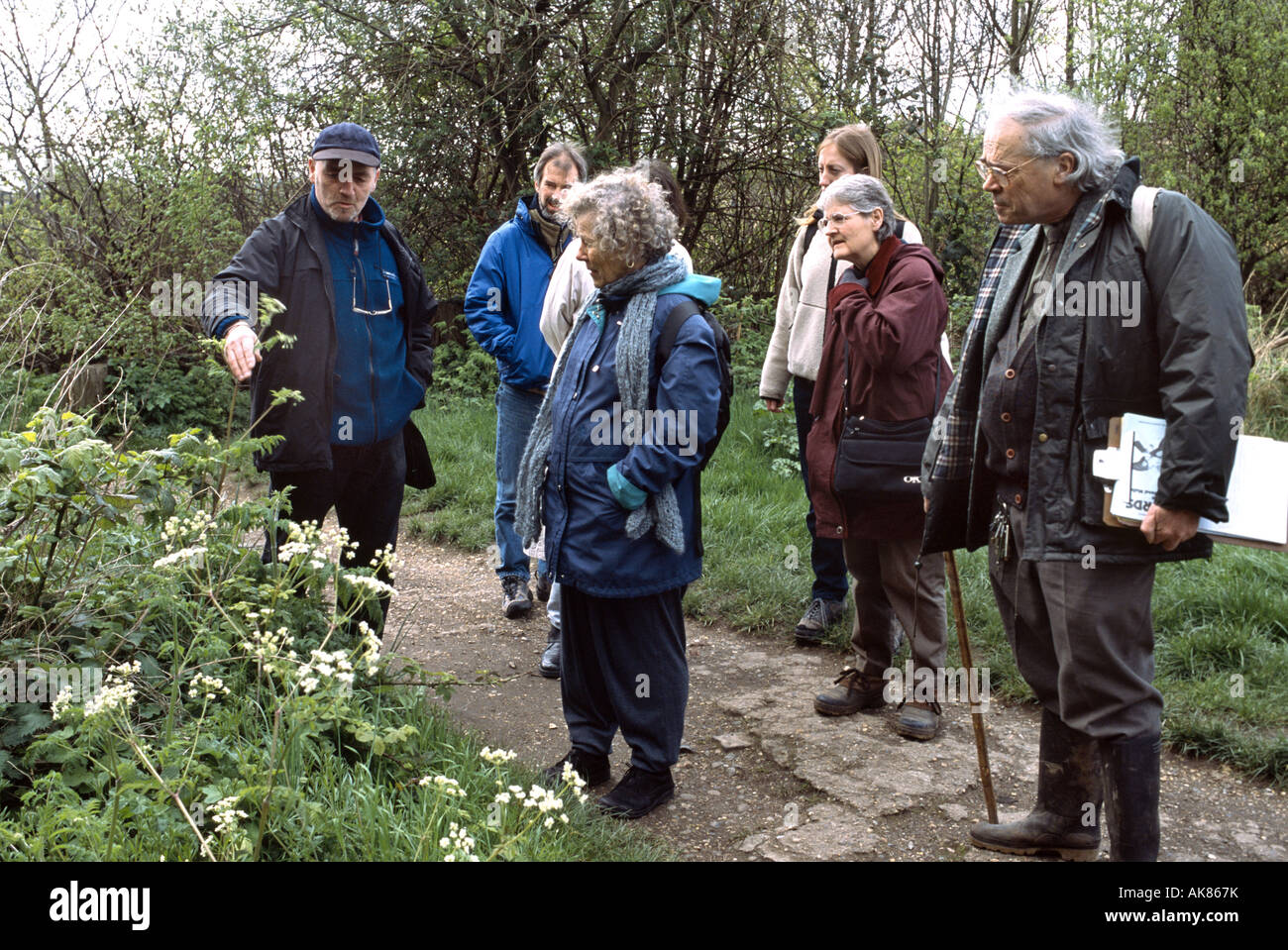 Bird watchers observing Stock Photo - Alamy
