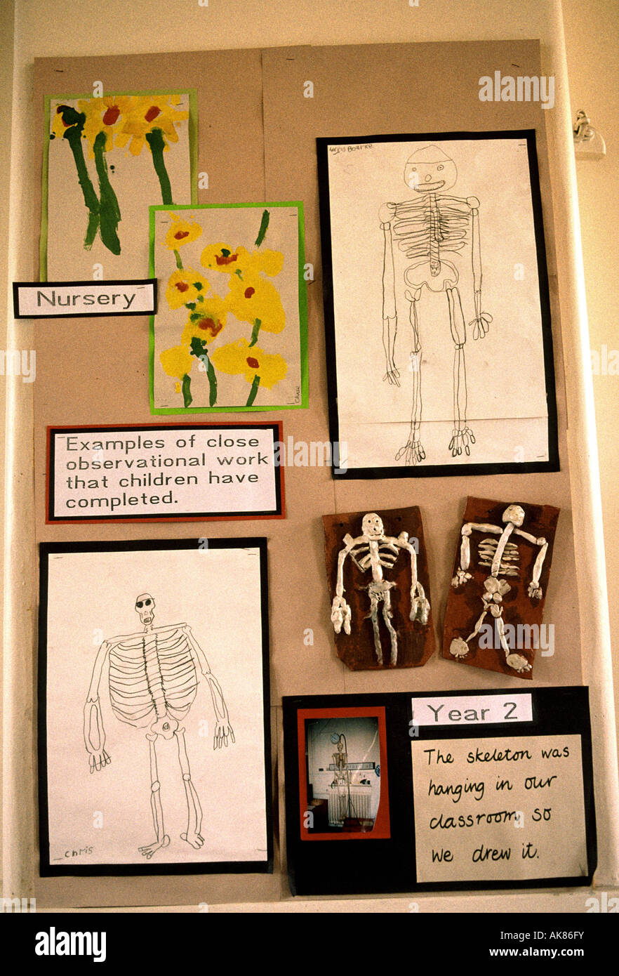 primary school wall display in a classroom Stock Photo - Alamy