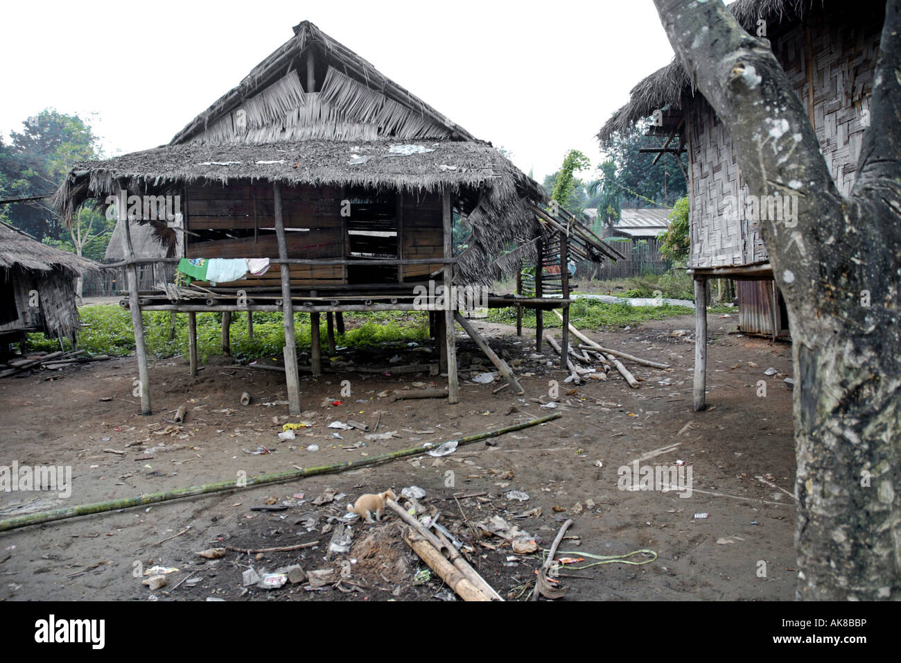 Poor Thai House