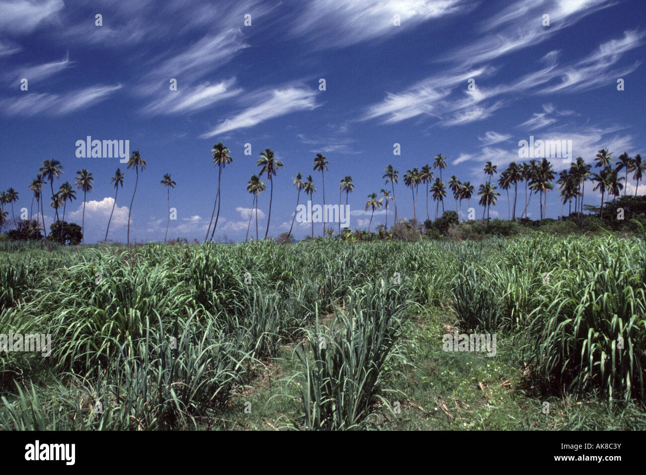 A beautiful sky in Fiji, South Pacific Stock Photo - Alamy
