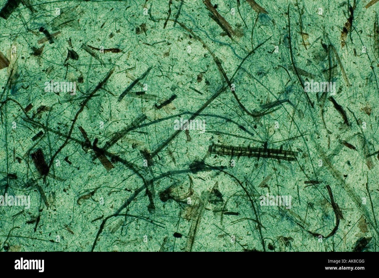 Fiber paper hi-res stock photography and images - Alamy