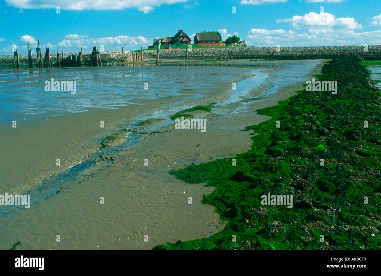 Hallig sudfall hi-res stock photography and images - Alamy