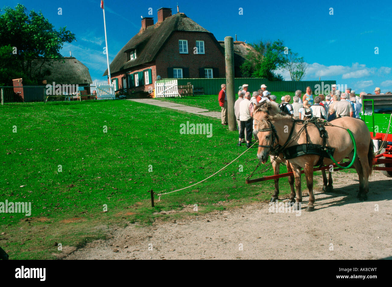 Hallig sudfall hi-res stock photography and images - Alamy