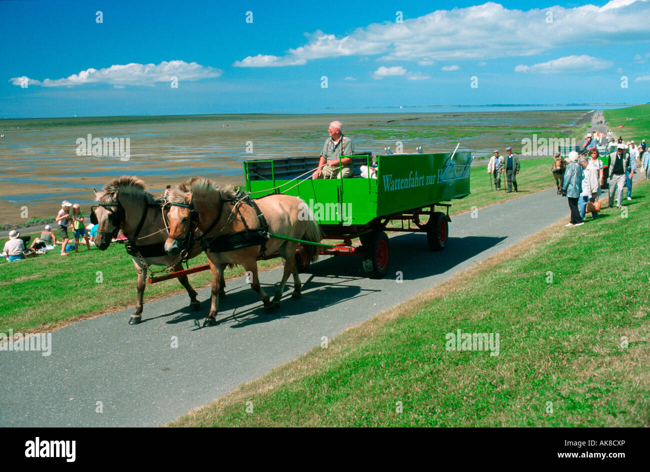 Hallig sudfall hi-res stock photography and images - Alamy