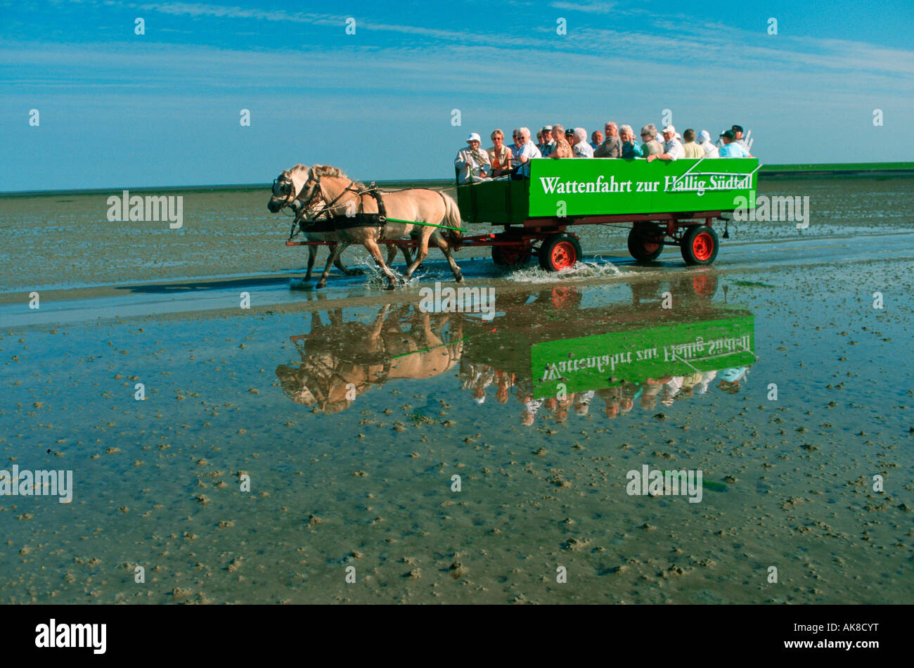 Hallig sudfall hi-res stock photography and images - Alamy