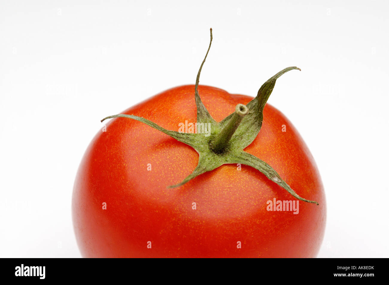 Knockout tomatoes hi-res stock photography and images - Alamy