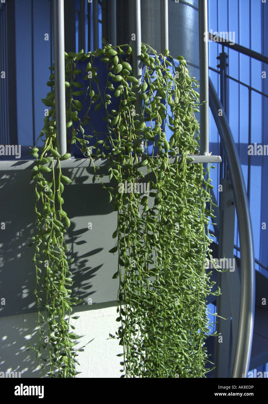 Beads string hi-res stock photography and images - Alamy