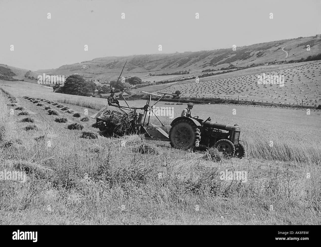 A wartime crop is being cut by a binder which tied the crop into ...