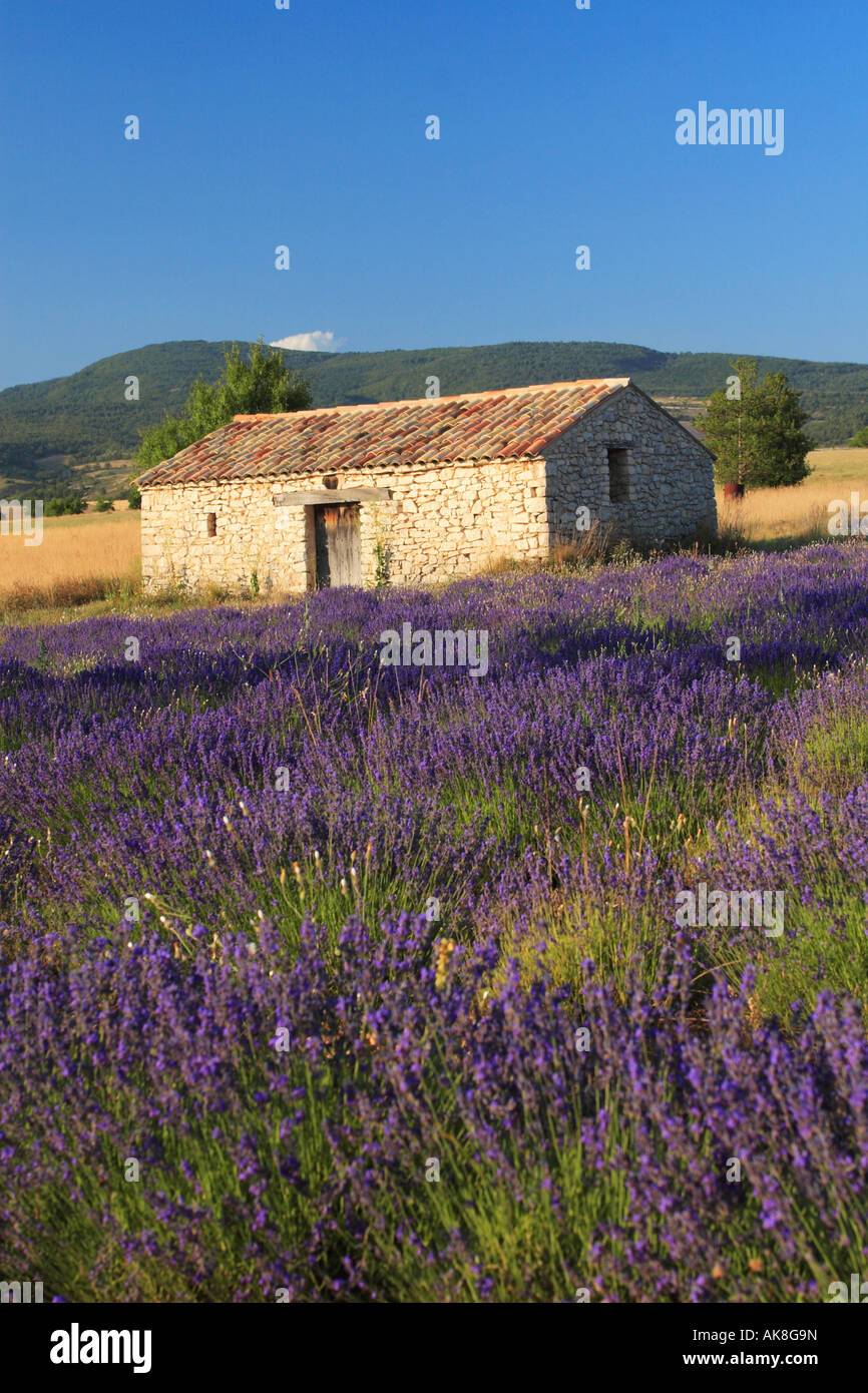 Old french barns hi-res stock photography and images - Alamy