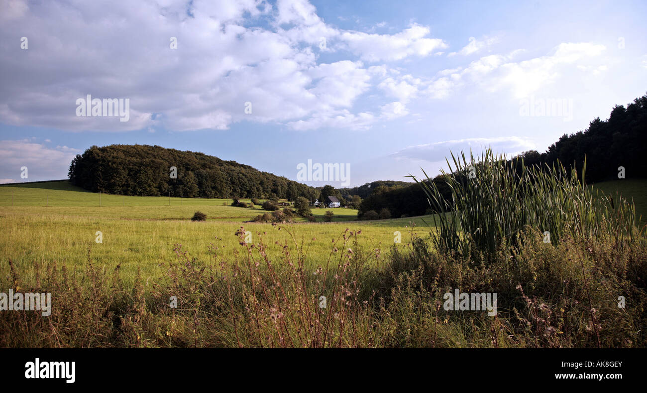 idyllic landscape, Germany, North Rhine-Westphalia, Ruhr Area ...