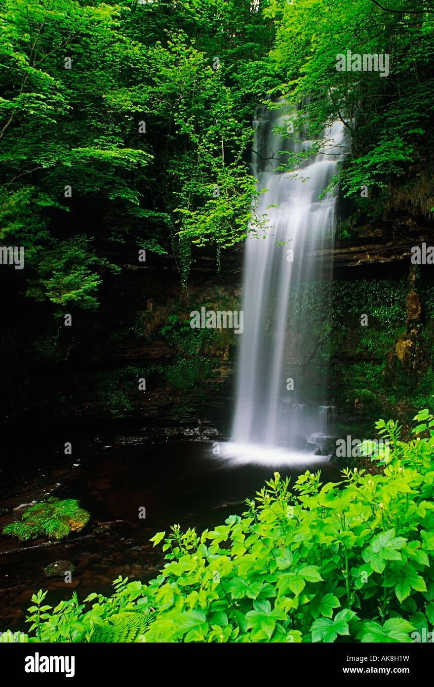 Forest waterfalls ireland hi-res stock photography and images - Alamy