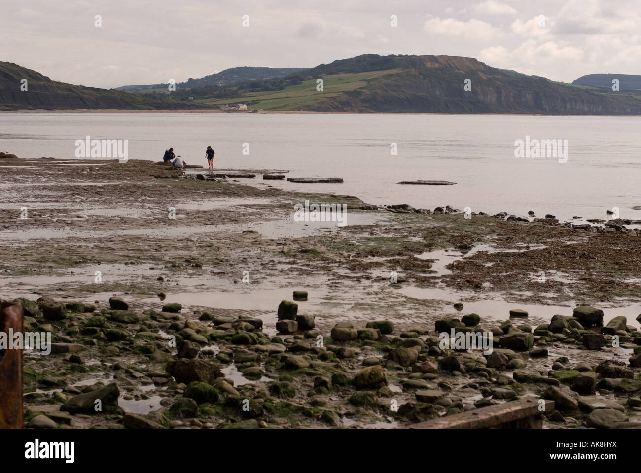 Wide shot of almost empty beach, tide out, people in distance wading in ...