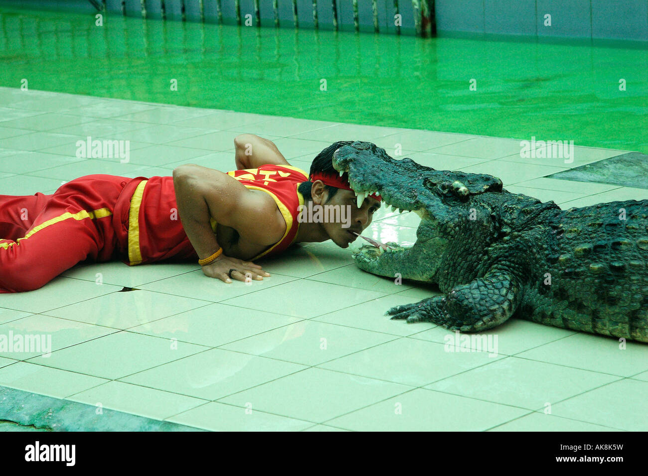 Crocodile show hi-res stock photography and images - Alamy