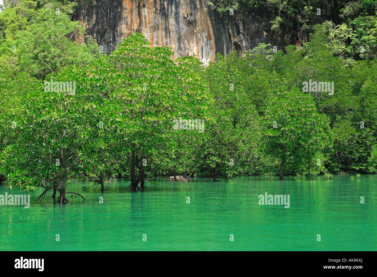 Hong island phang nga bay hi-res stock photography and images - Alamy
