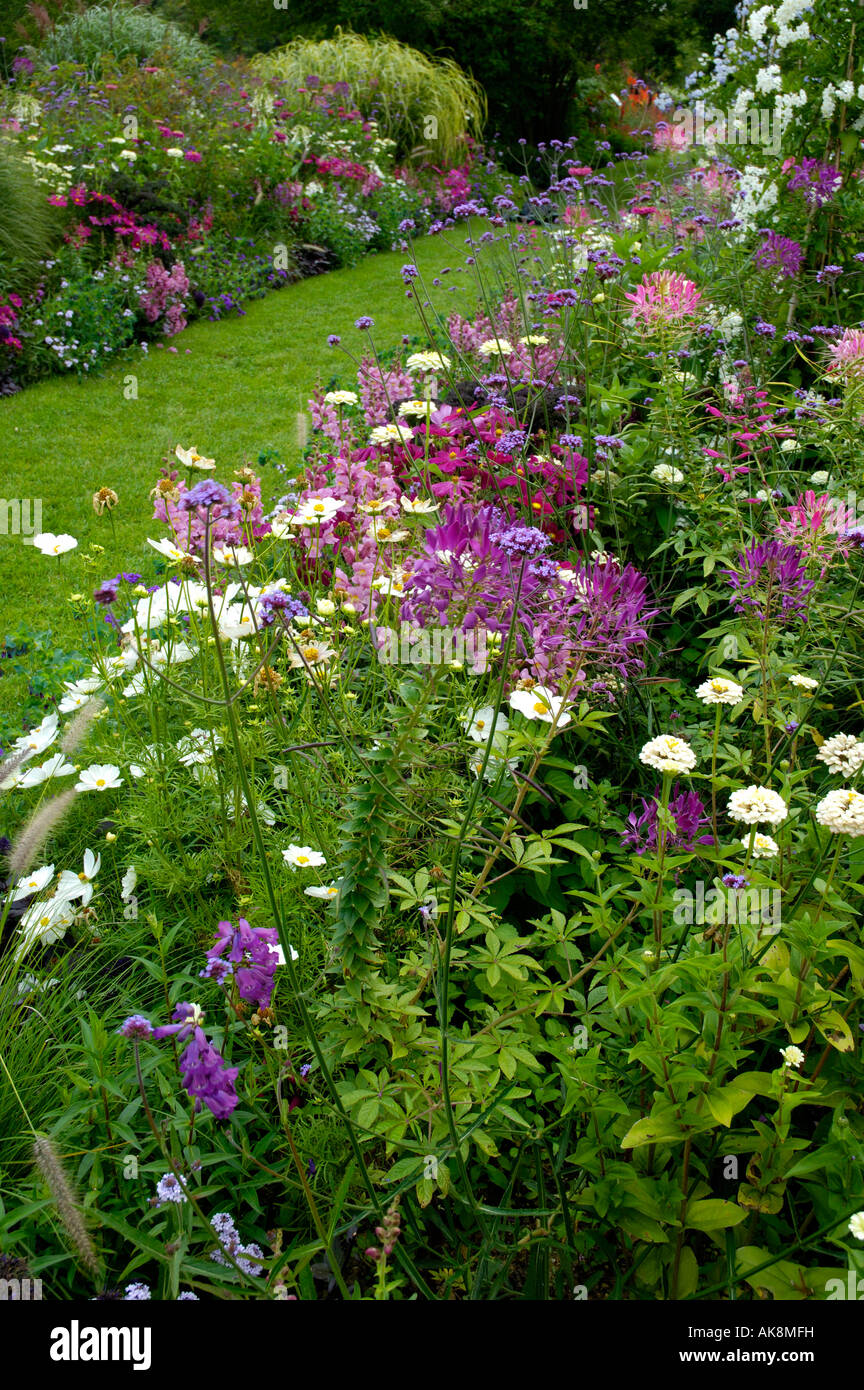 Bed of flowers Stock Photo - Alamy