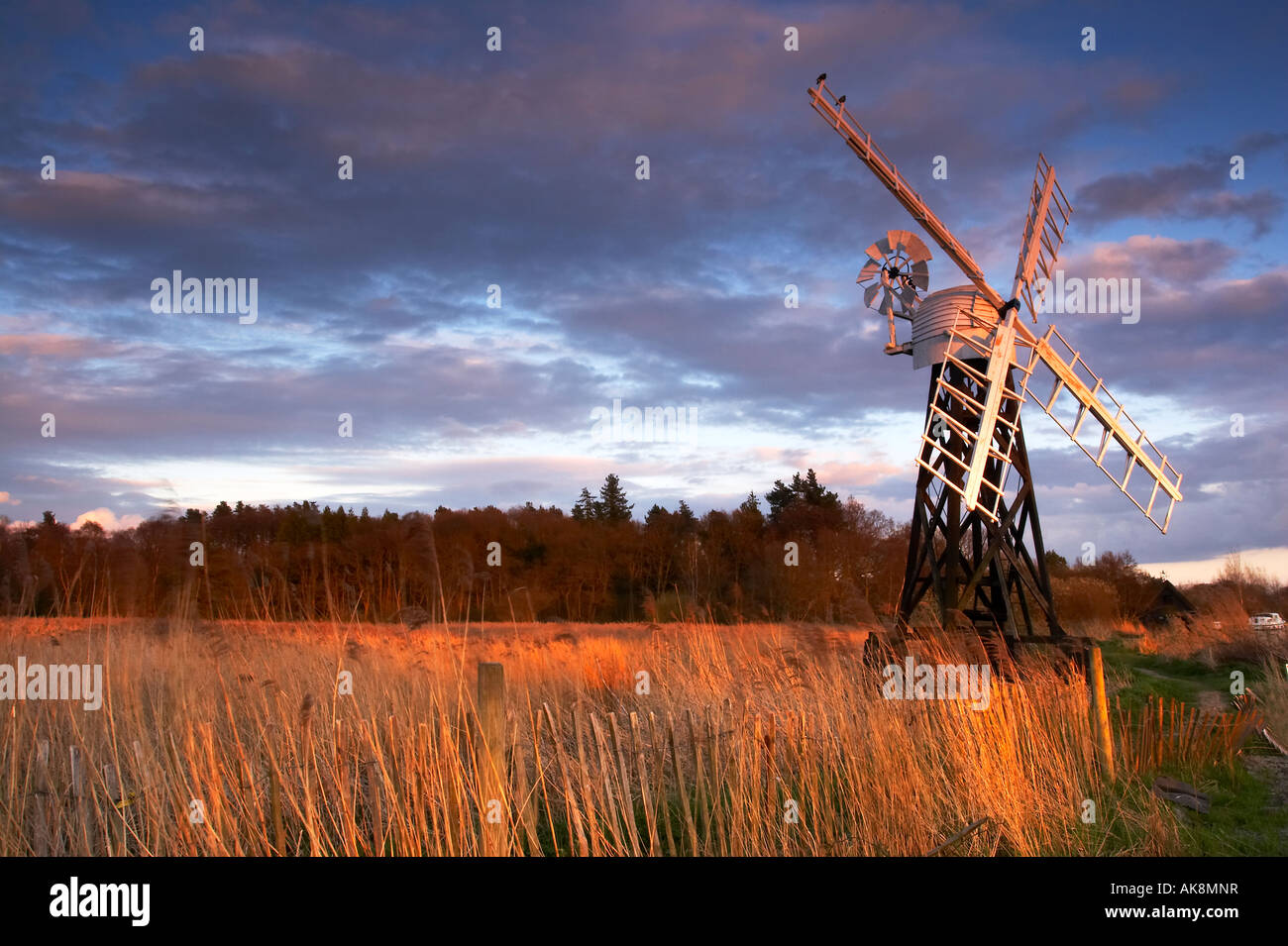 Boardmans timber open framed windmill on the Norfolk Broads Stock Photo ...