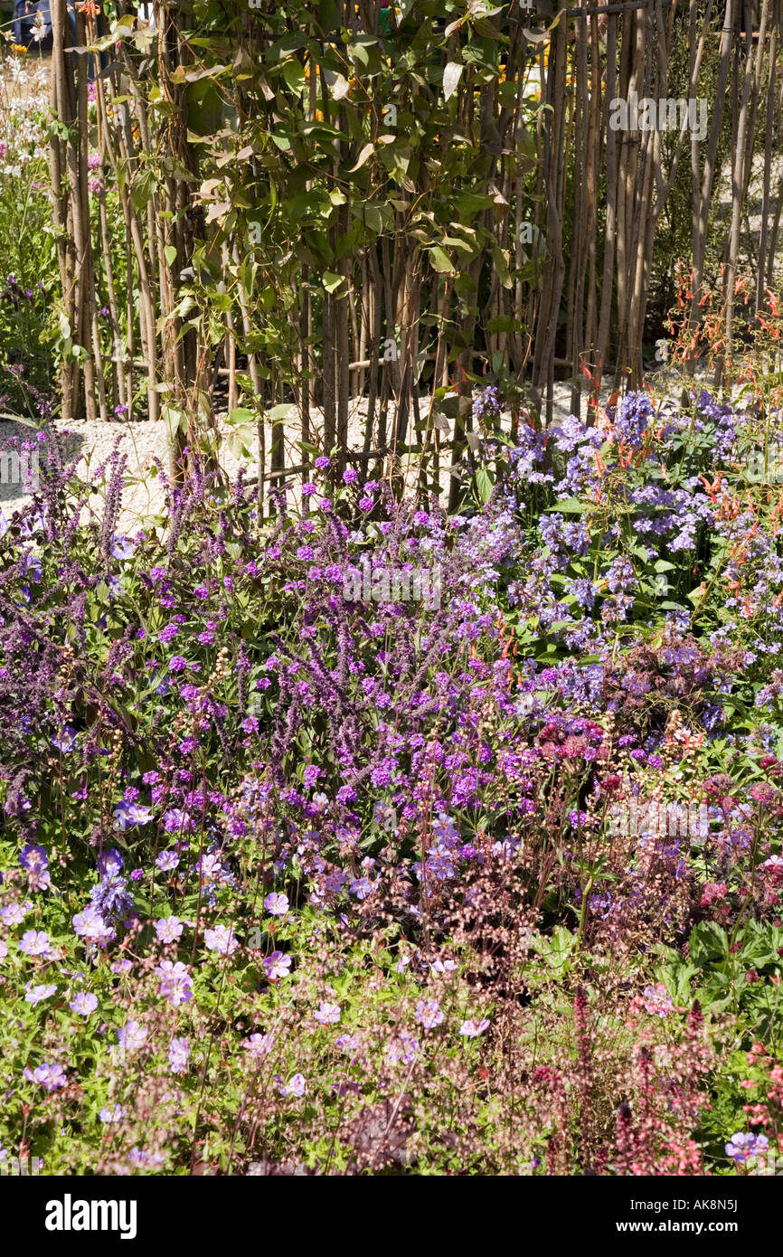 Mixed Herbacious Perennial Border High Resolution Stock Photography and ...
