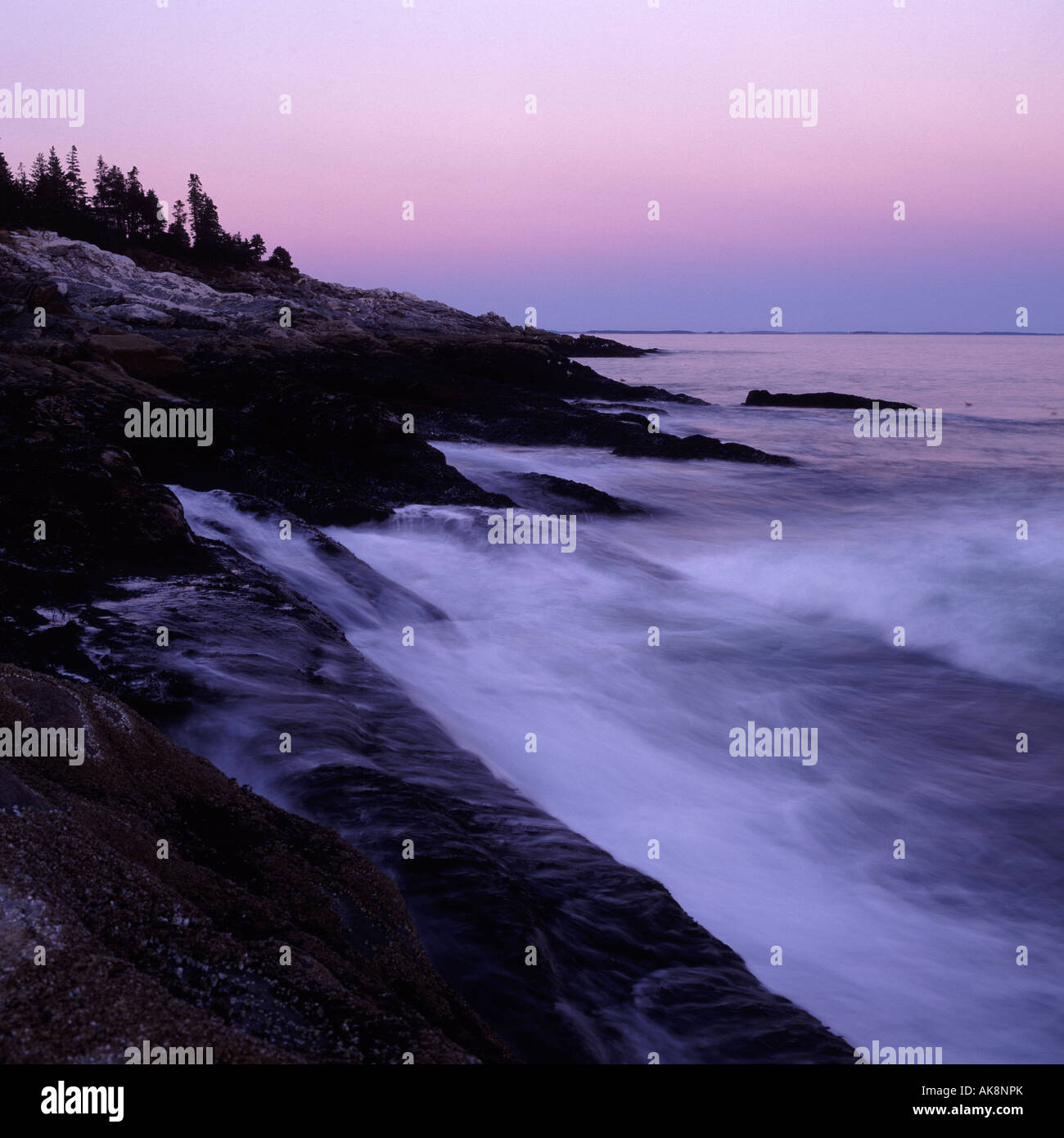 Bass Harbour Head seashore, Maine, USE, dusk, pink sky, blurred sea ...