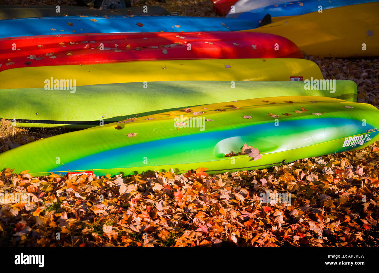 Hulls of kayaks and canoes covered with leaves Stock Photo - Alamy