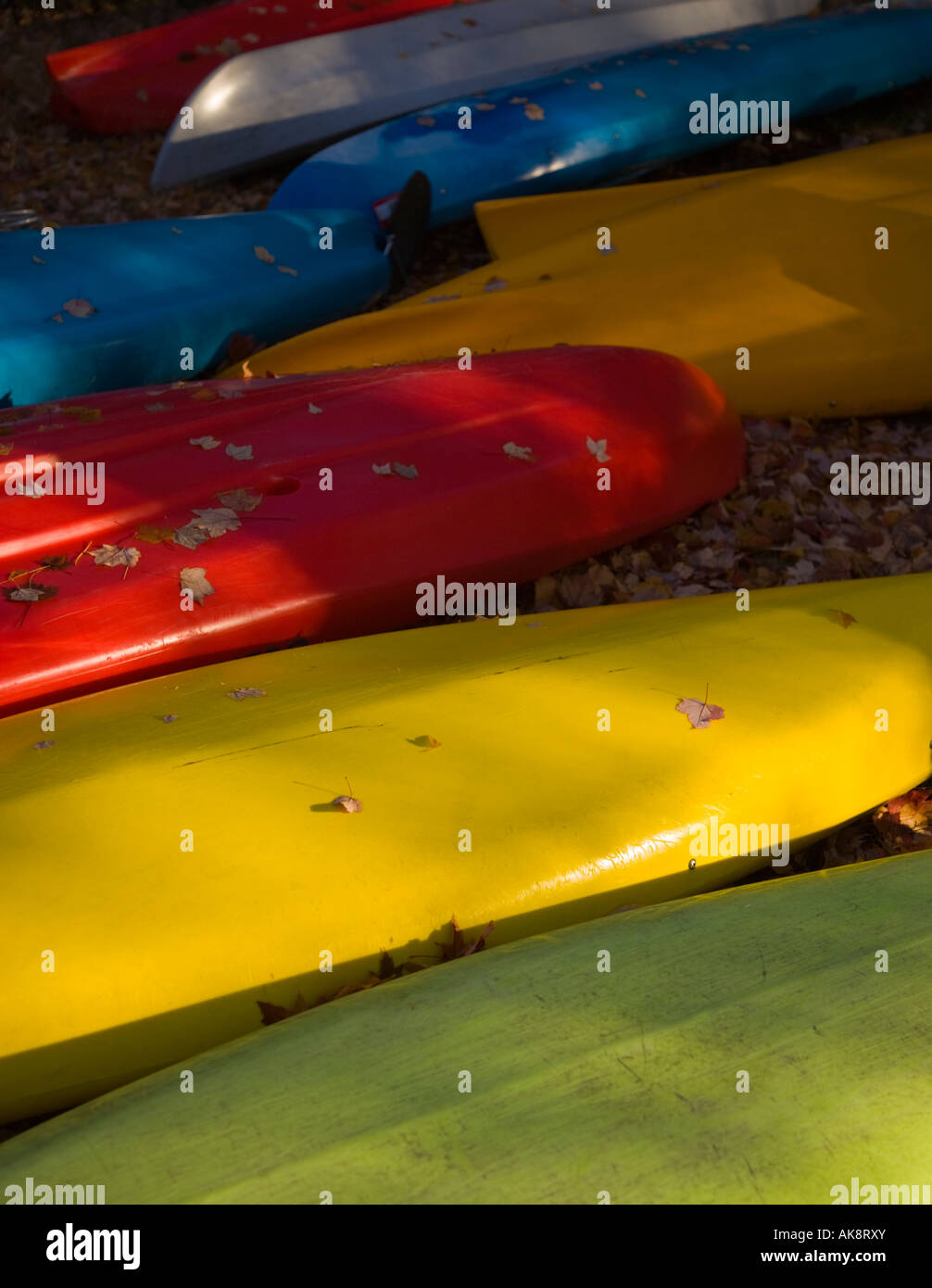 Hulls of kayaks and canoes covered with leaves Stock Photo - Alamy