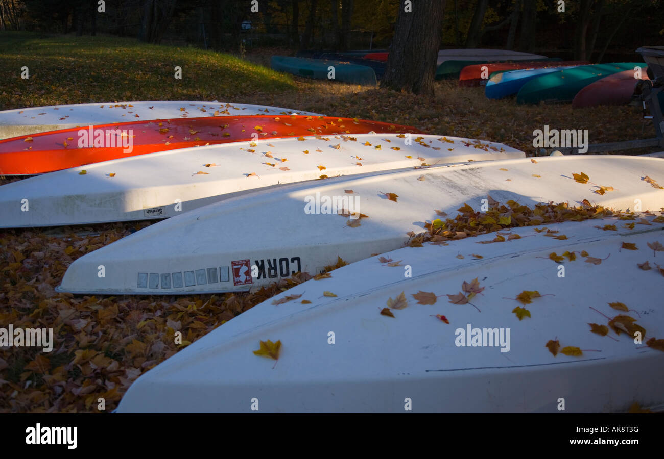 Hulls of kayak and canoe covered with leaves Stock Photo - Alamy