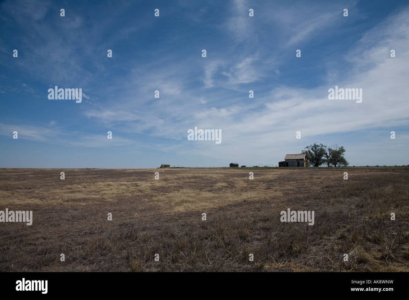 Abandoned House on Field Stock Photo - Alamy