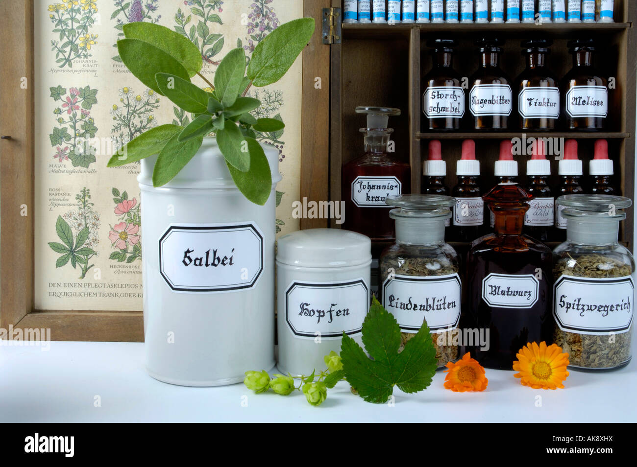 Pharmacy bach hi-res stock photography and images - Alamy