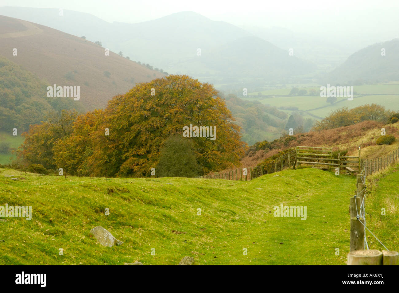 Rushock hill hi-res stock photography and images - Alamy