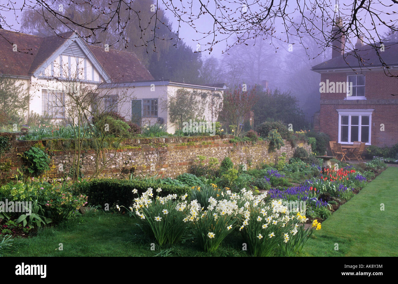 Little Court Hampshire Spring bulb combination in border with view of ...