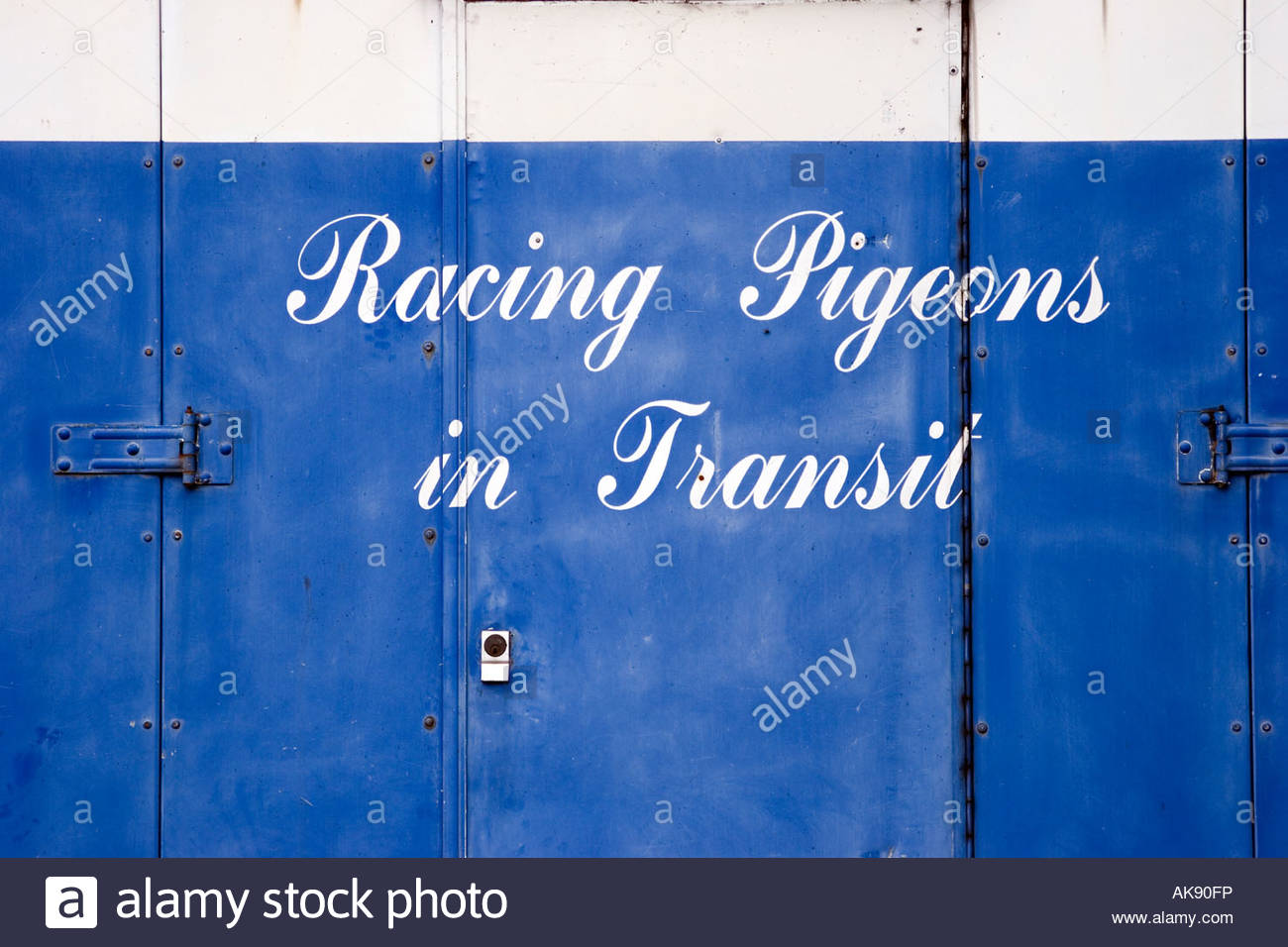 Pigeons In Transit High Resolution Stock Photography and Images - Alamy