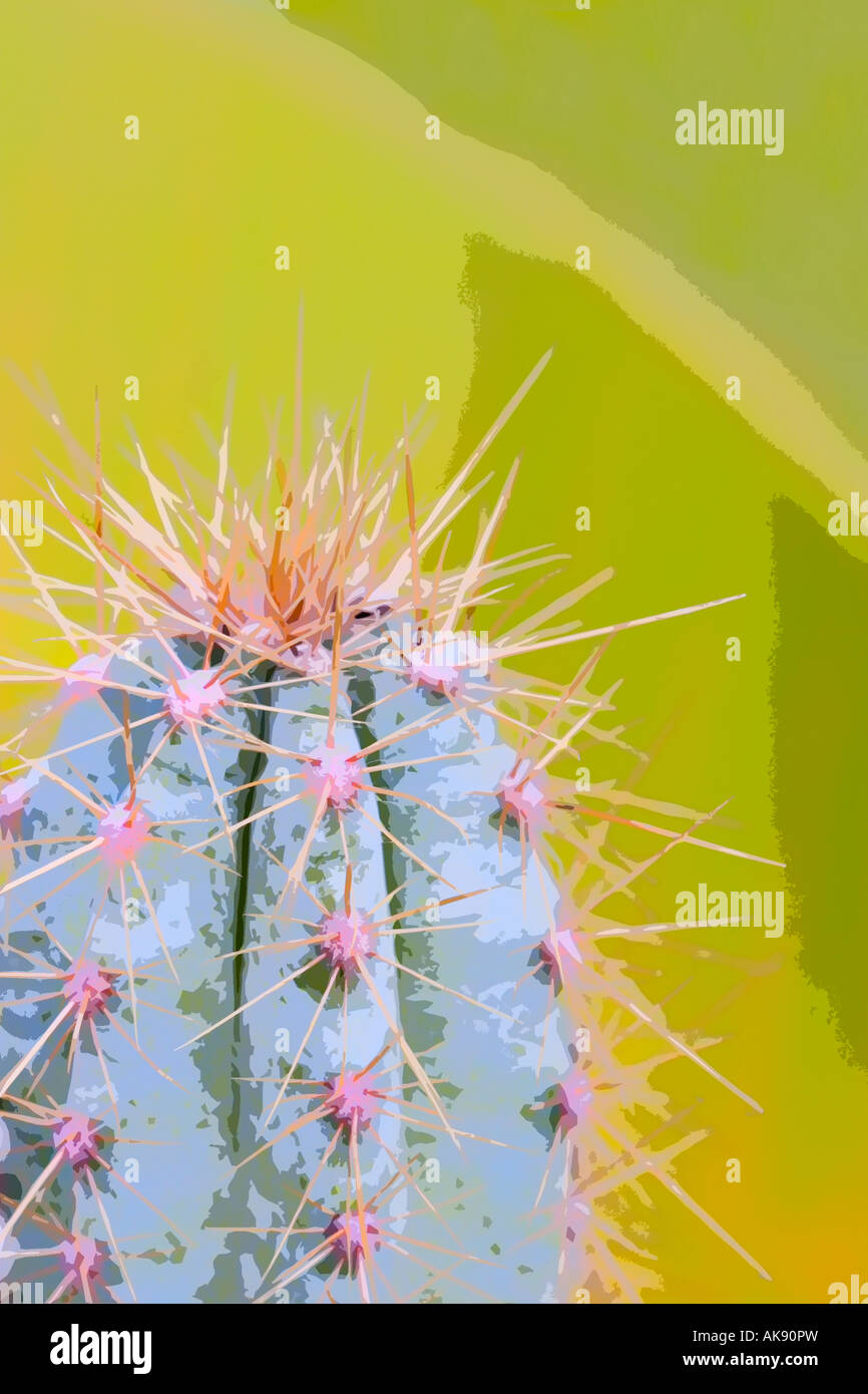 Blue cactus against green background Stock Photo - Alamy