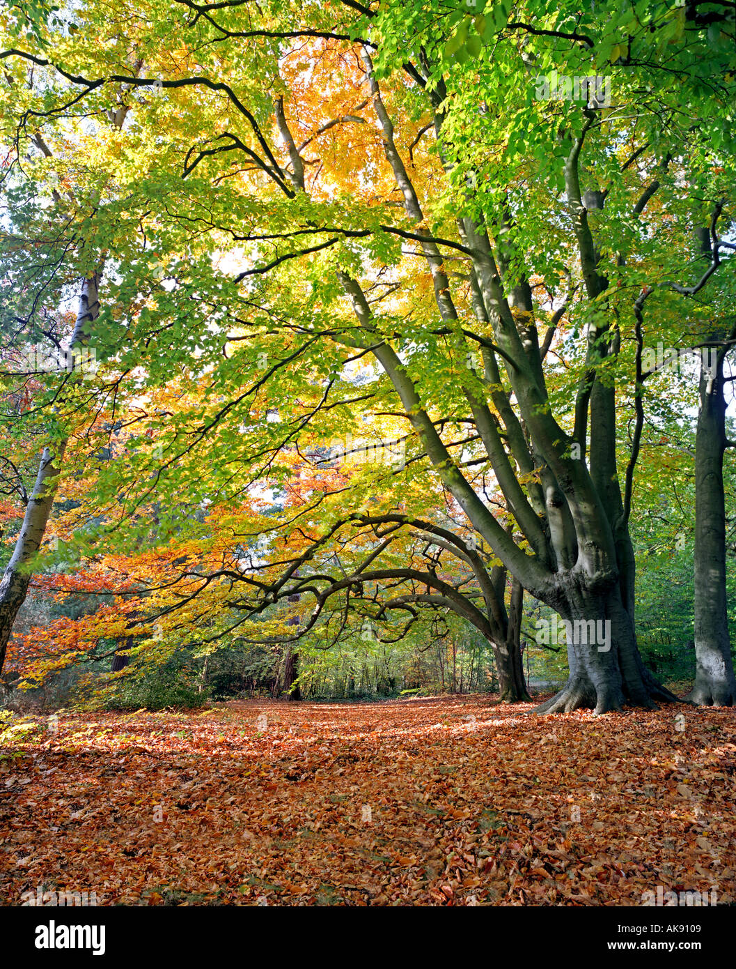 North kent hi-res stock photography and images - Alamy