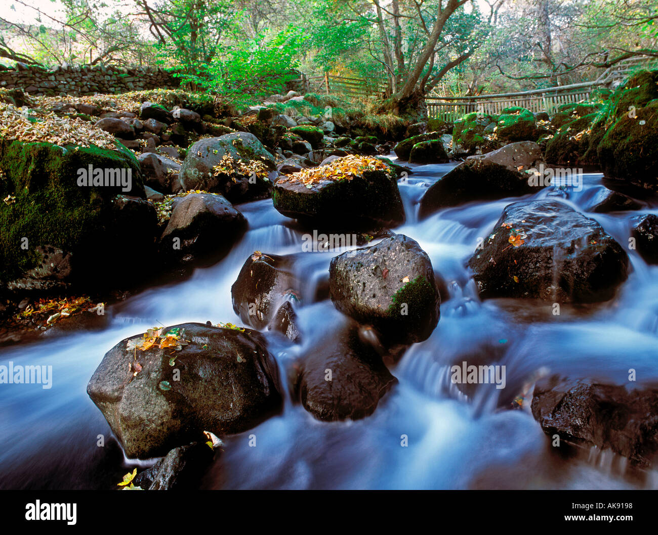 aira force autumn lake district cumbria england uk Stock Photo - Alamy