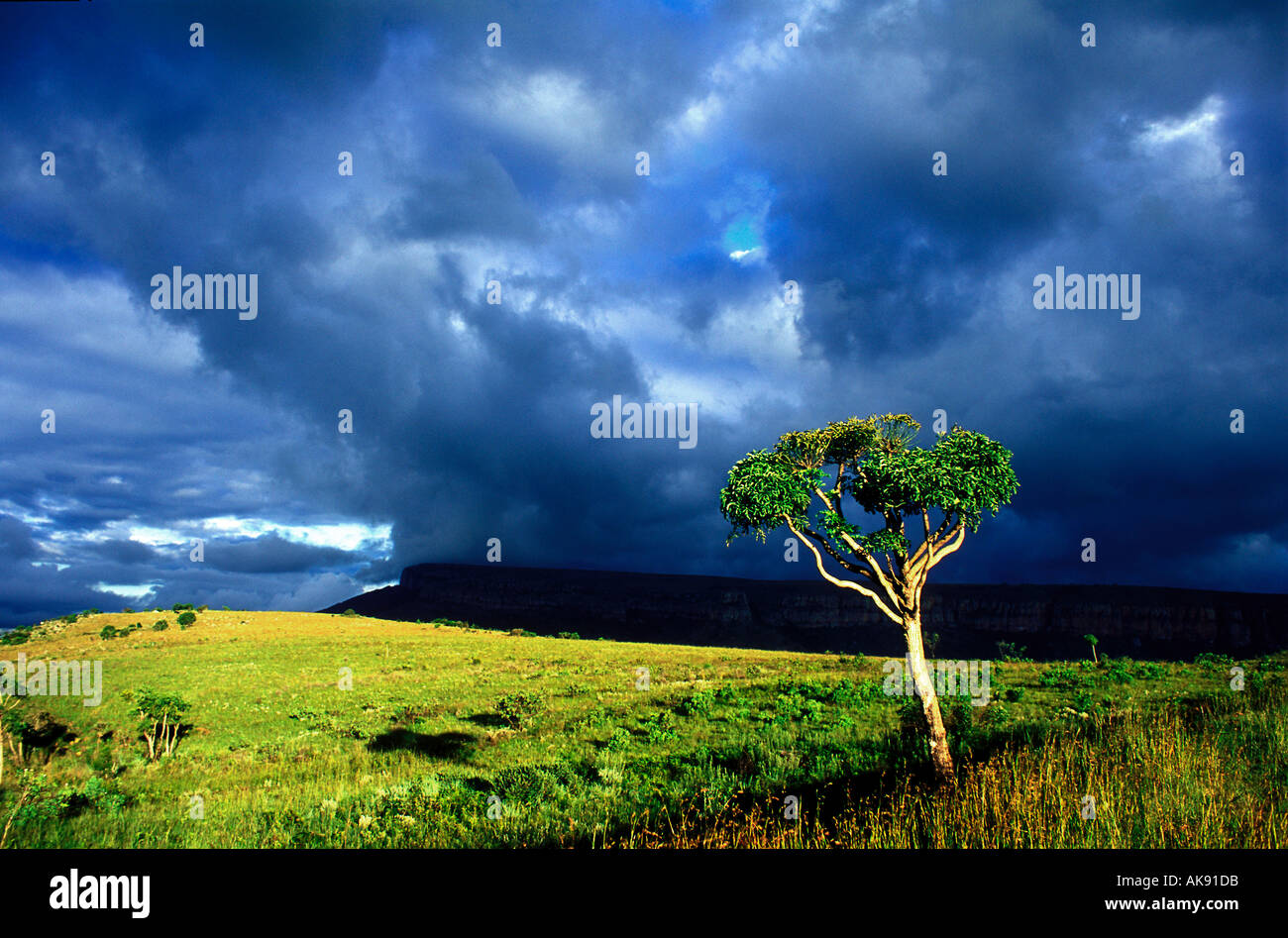 Eastern transvaal hi-res stock photography and images - Alamy